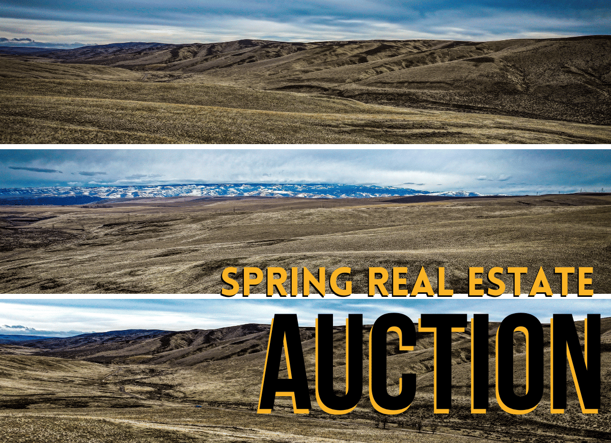 Chuck Yarbro Auctioneers | Home