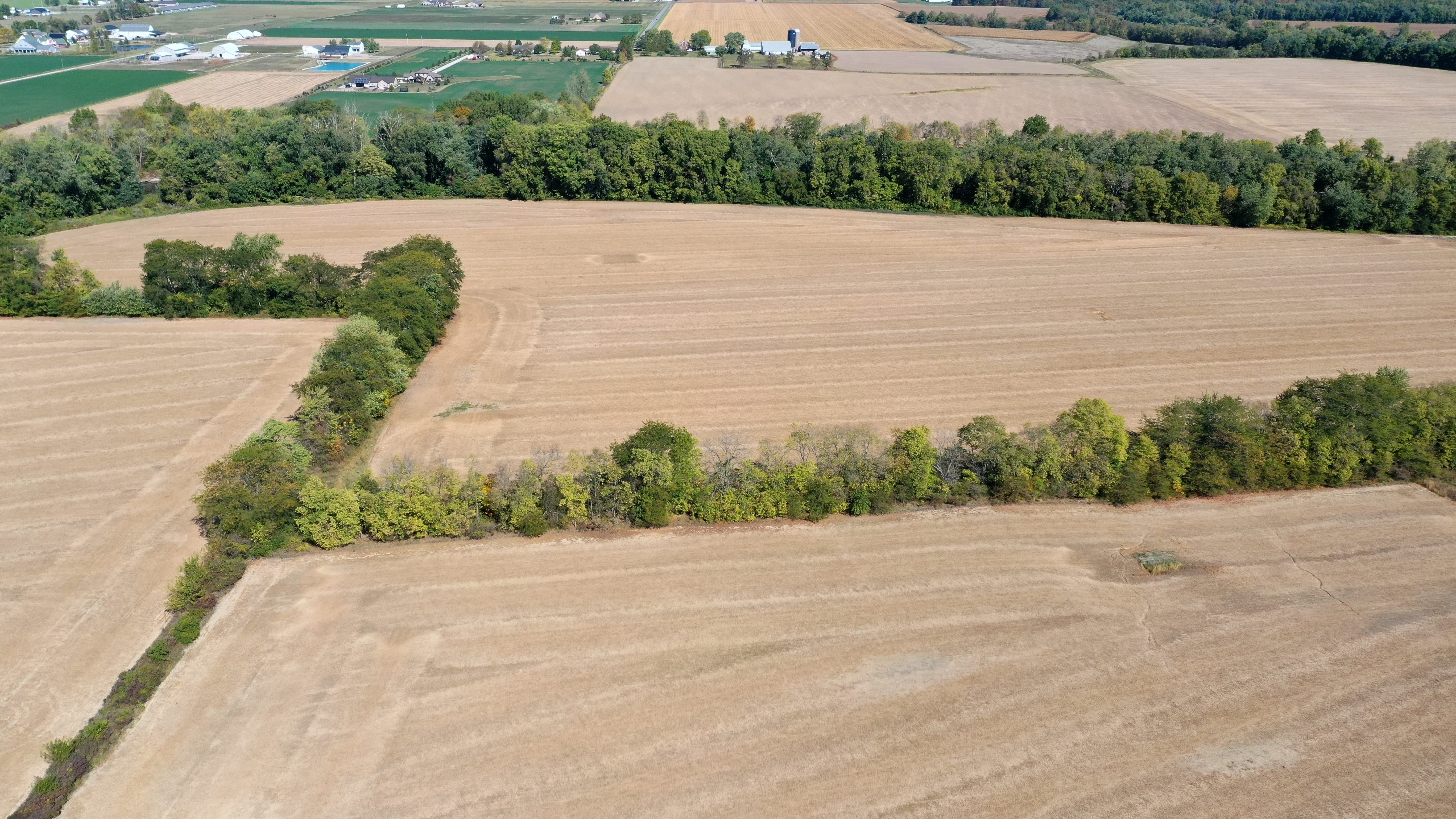 Schrader of Fort Wayne | Real Estate and Auctions
